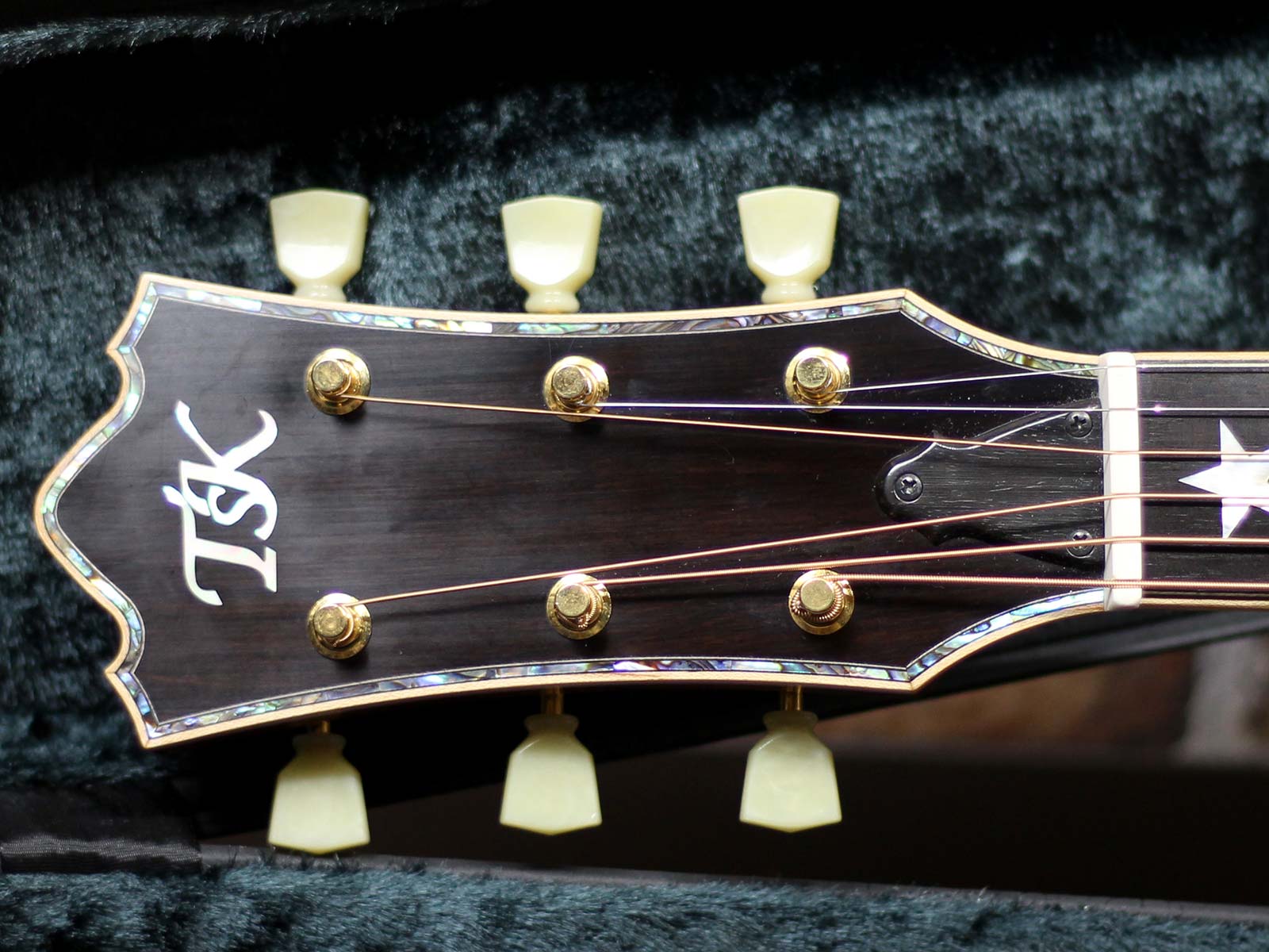 TSK No.8 Tortoise Shell Pickguard -Not Aged-